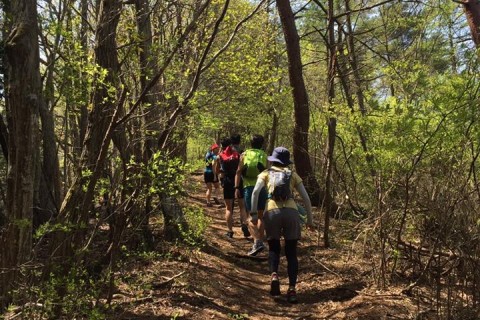 【RunField】トレイルランニングセッションin丹沢・ユーシン渓谷 | e-moshicom（イー・モシコム）