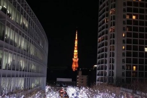 [JoyRun☆ 913rd]大人の遠足「麻布十番」発 Xmasイルミdeラン | e-moshicom（イー・モシコム）