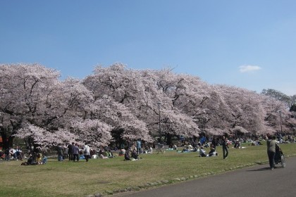 RUNNET ランネット・大会ガイド&エントリー