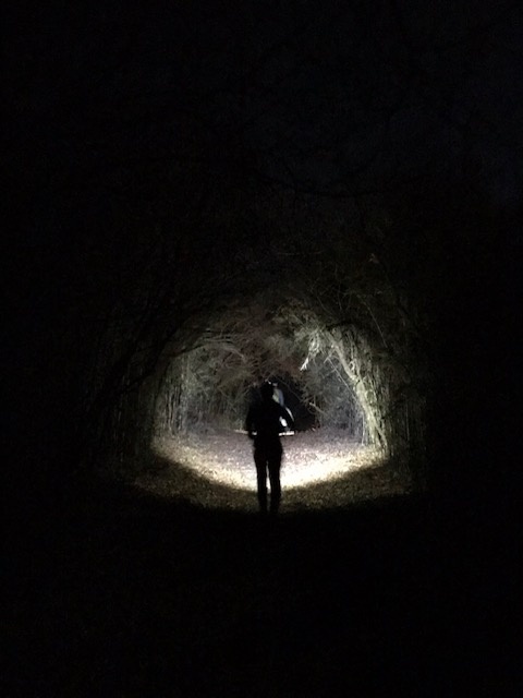 【RunField】あづまねナイトトレイルラン&ウォークセッション（5月開催） | e-moshicom（イー・モシコム）