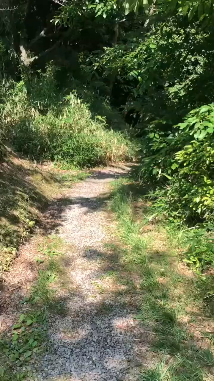 クロスカントリー走 練習会 4K×3～4セット | e-moshicom（イー・モシコム）