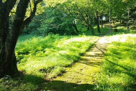 Saturday Morning Run(南平丘陵/七生丘陵トレイル&ロードラン) | e-moshicom（イー・モシコム）