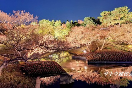 息を呑む幻想的な逆さ紅葉 朱雀の庭 紅葉ライトアップラン13キロ【サトウ練習会】 - RUNNET ランネット・大会ガイド&エントリー