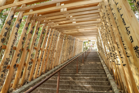 新年初詣ラン 勝利と幸福の神様 絶景の空中参道 太郎坊宮 28k 39k 19k【サトウ練習会】 | e-moshicom（イー・モシコム）