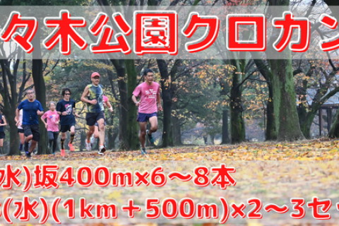 1/4(水),18(水) 代々木公園クロカン部 | e-moshicom（イー・モシコム）