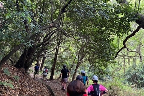 5/24(水) 【平日トレラン・水曜いいもり】 | e-moshicom（イー・モシコム）