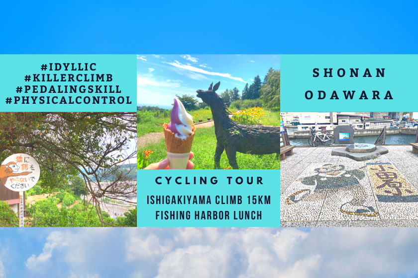 石垣山一夜城ヒルクライムと小田原漁港めし15km | e-moshicom（イー・モシコム）