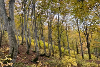 あまとみトレイル90kmスルーツアー in 3days - RUNNET ランネット・大会ガイド&エントリー
