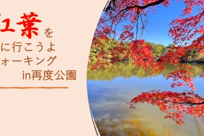 紅葉を 見に行こうよ ウォーキング in再度公園 - RUNNET ランネット・大会ガイド&エントリー