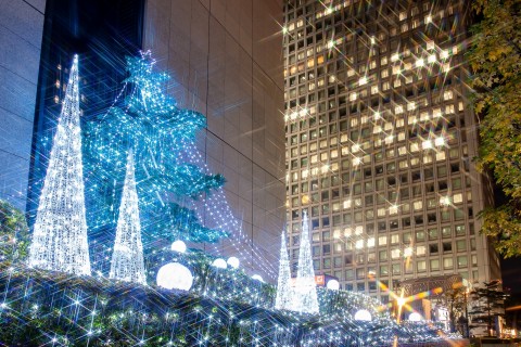 【Shokz×イルミネーションRUN】骨伝導イヤホンShokz OpenRun Pro」 体験 | e-moshicom（イー・モシコム）