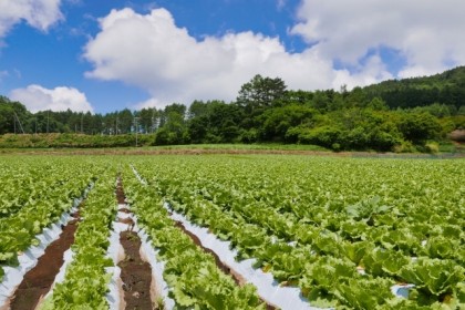 信州ROAD&TRAIL菅平合宿2024 - RUNNET ランネット・大会ガイド&エントリー