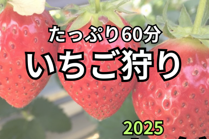 【遠足】いちご狩り - RUNNET ランネット・大会ガイド&エントリー