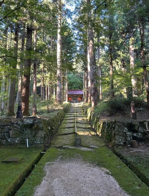 【隠れ家的・裏ルートver】金勝アルプストレイル〜冬の陣〜 | e-moshicom（イー・モシコム）