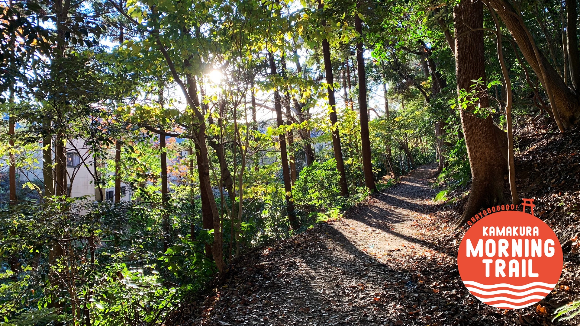 【初心者】朝の鎌倉トレイルラン＆ウォーク | e-moshicom（イー・モシコム）